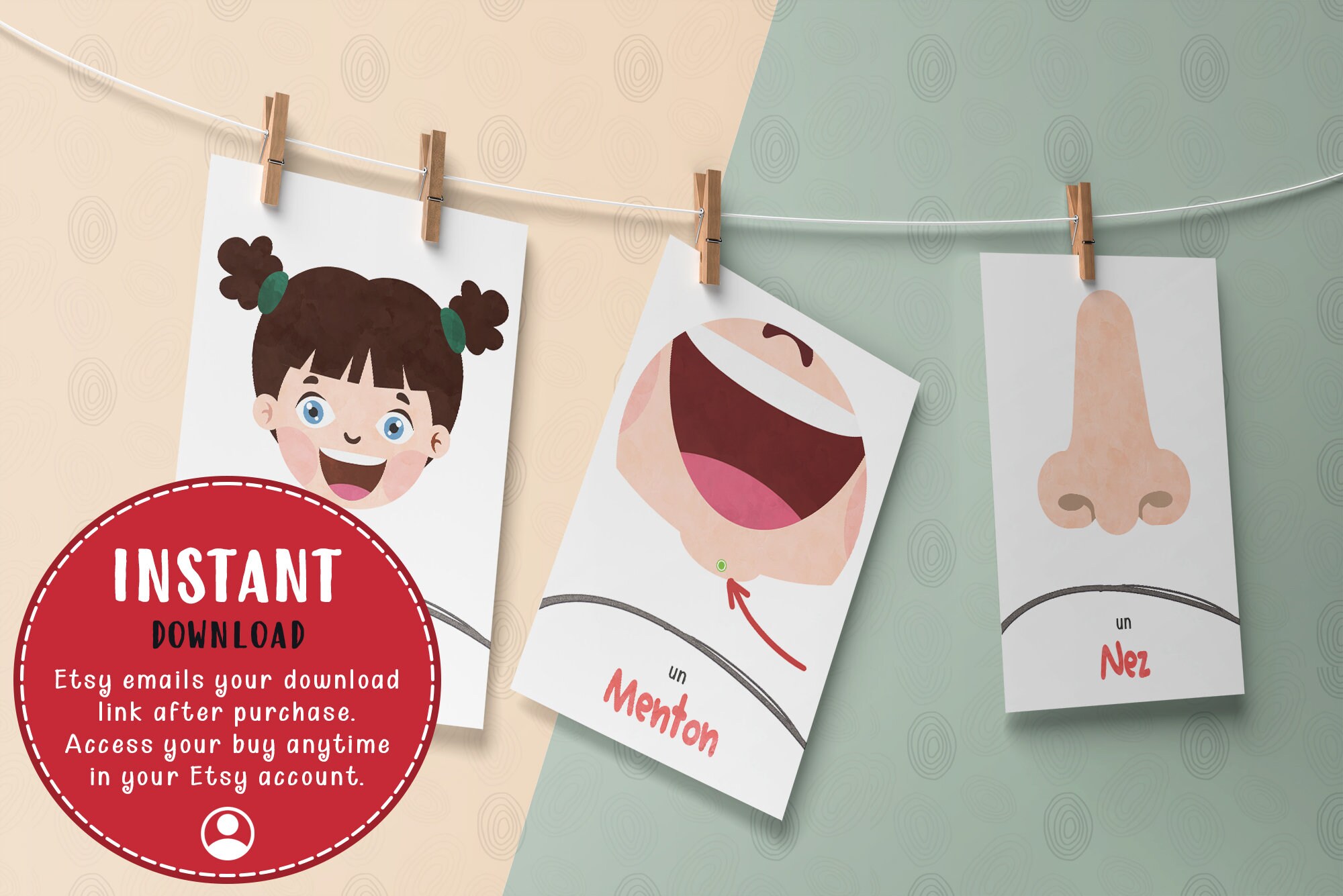 French Body Parts Flashcards for Kids, Learn Human Anatomy With Un/une ...