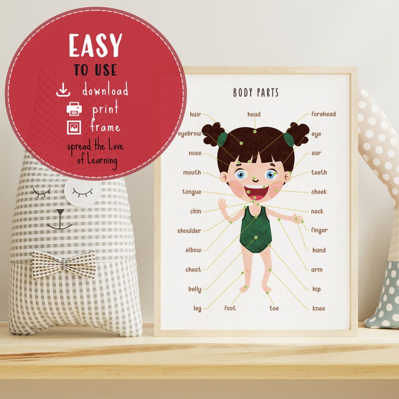 Human Body Poster for Kids | Educational Wall Art PDF | Preschool ...