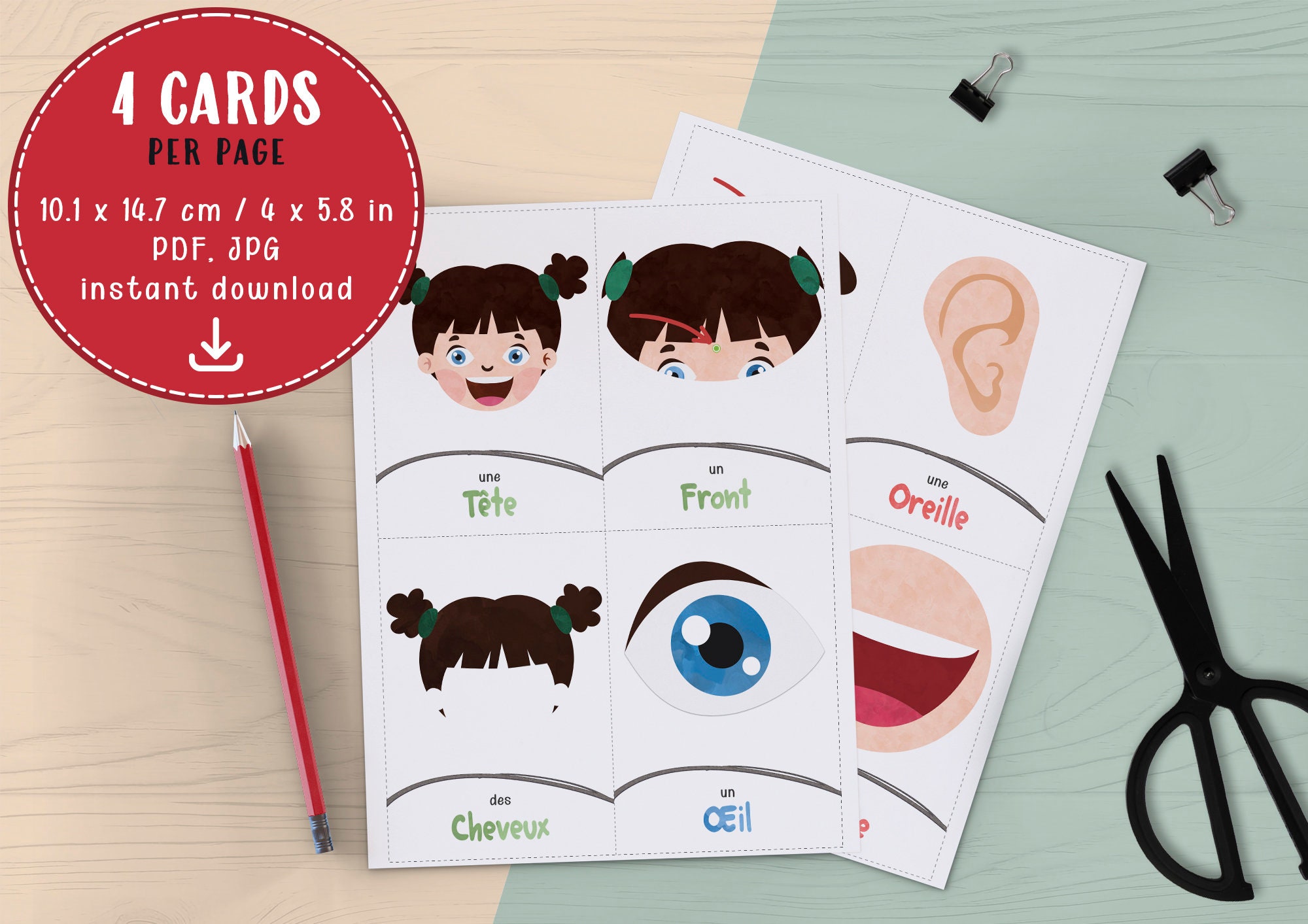 French Body Parts Flashcards for Kids, Learn Human Anatomy With Un/une ...