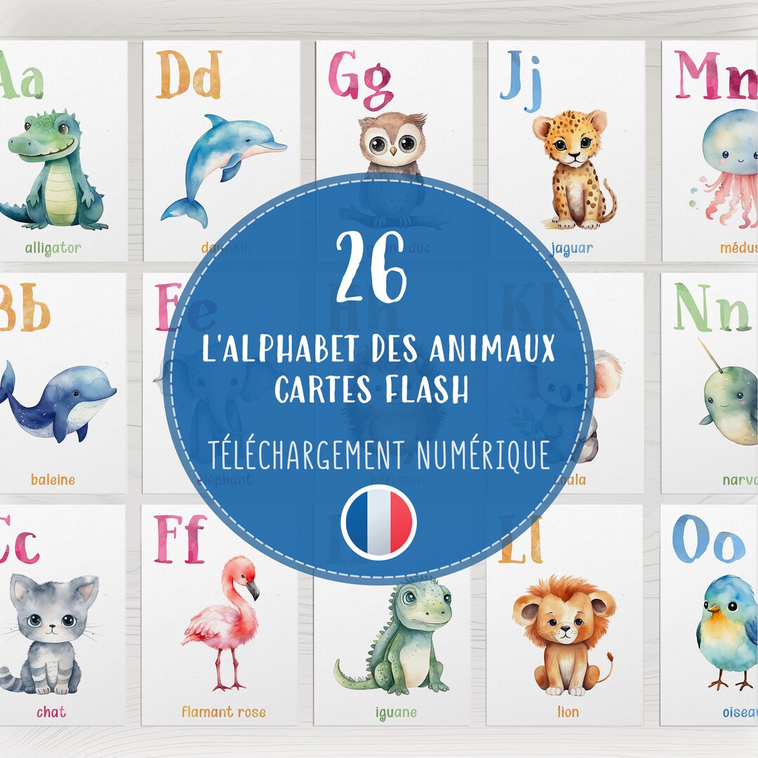 Cartes Flash Alphabet Français PDF | Animaux ABC Acuarela | Outil ...