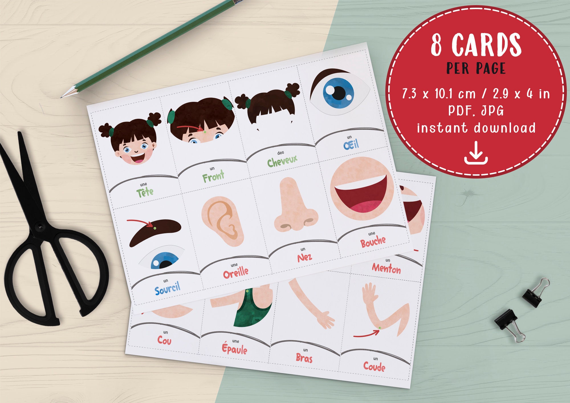 French Body Parts Flashcards for Kids, Learn Human Anatomy With Un/une ...