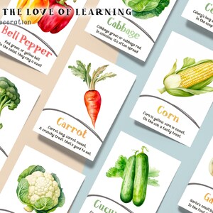 Vegetable Flashcards for Kids, Printable Learning Cards With Nursery ...