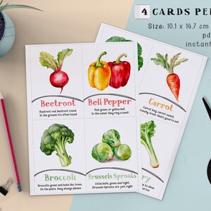 Vegetable Flashcards for Kids, Printable Learning Cards With Nursery ...