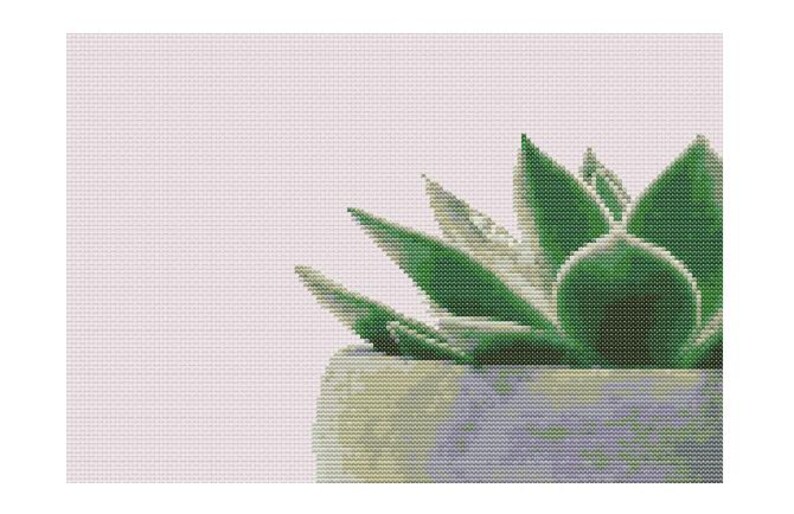 Cross Stitch Pattern, Succulent, House Plant, Cactus, Embroidery ...
