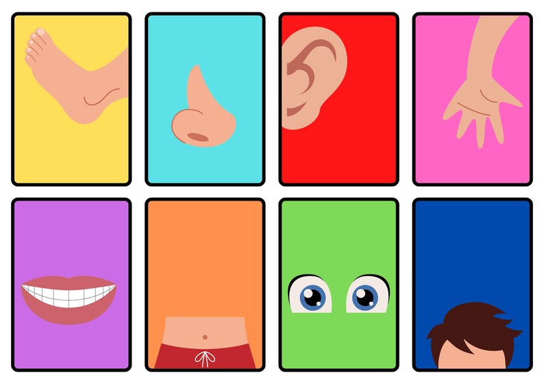 Anatomy / Body Part Flashcards - Spanish Edition - Etsy