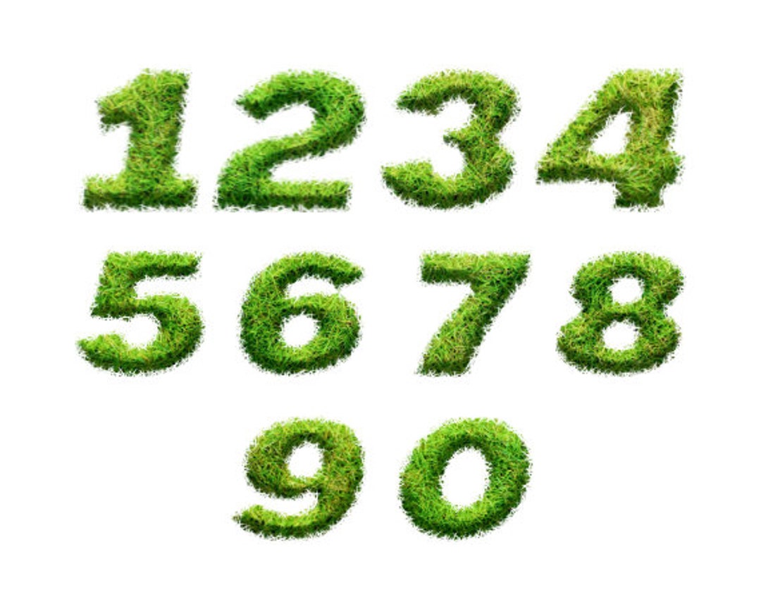 Grass Numbers Bundle Grass PNG Numbers Numbers Grass PNG - Etsy UK