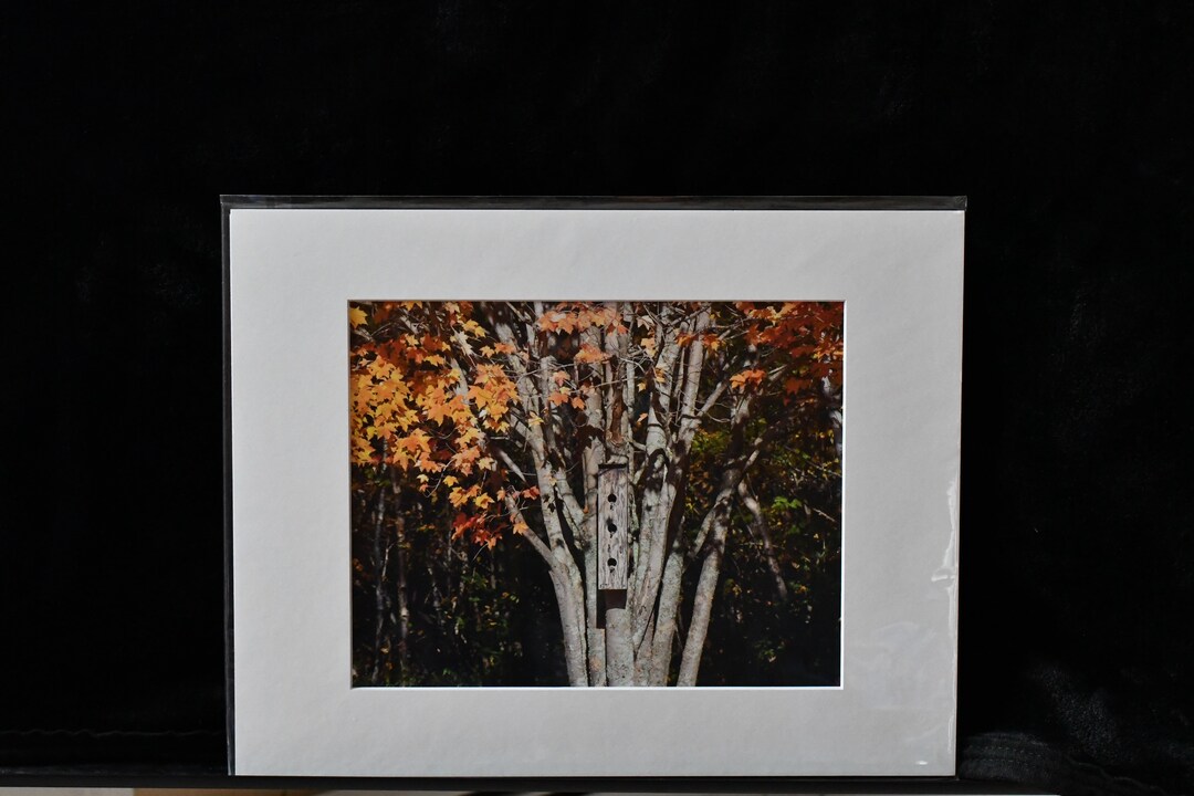 Fall Bird House - Etsy