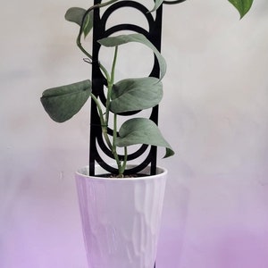 40 Indoor Plant Trellis SVG Mega Bundle 40 Pack for - Etsy