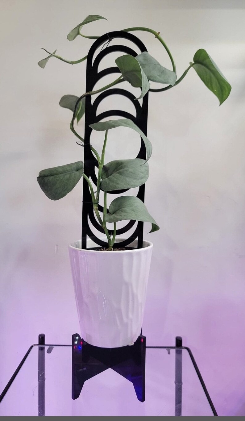 40 Indoor Plant Trellis SVG Mega Bundle 40 Pack for - Etsy