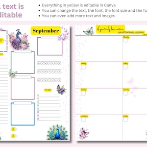 Peacocks Weekly Planner Insert; 2 Page Dashboard Layout for HP Classic ...