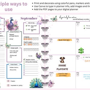 Peacocks Weekly Planner Insert; 2 Page Dashboard Layout for HP Classic ...