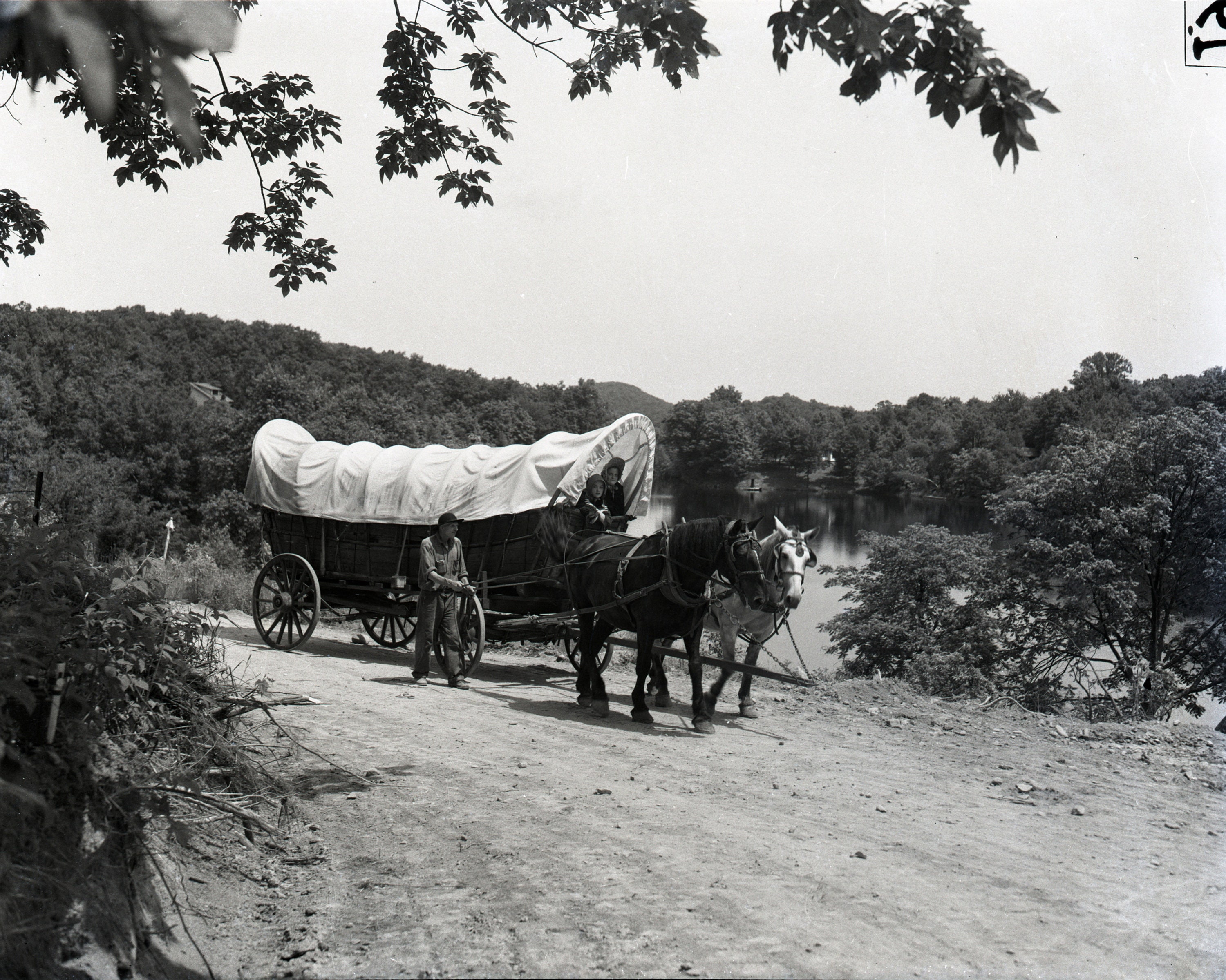 Digital Download, Vintage Covered Wagon Photo, Black and White High ...