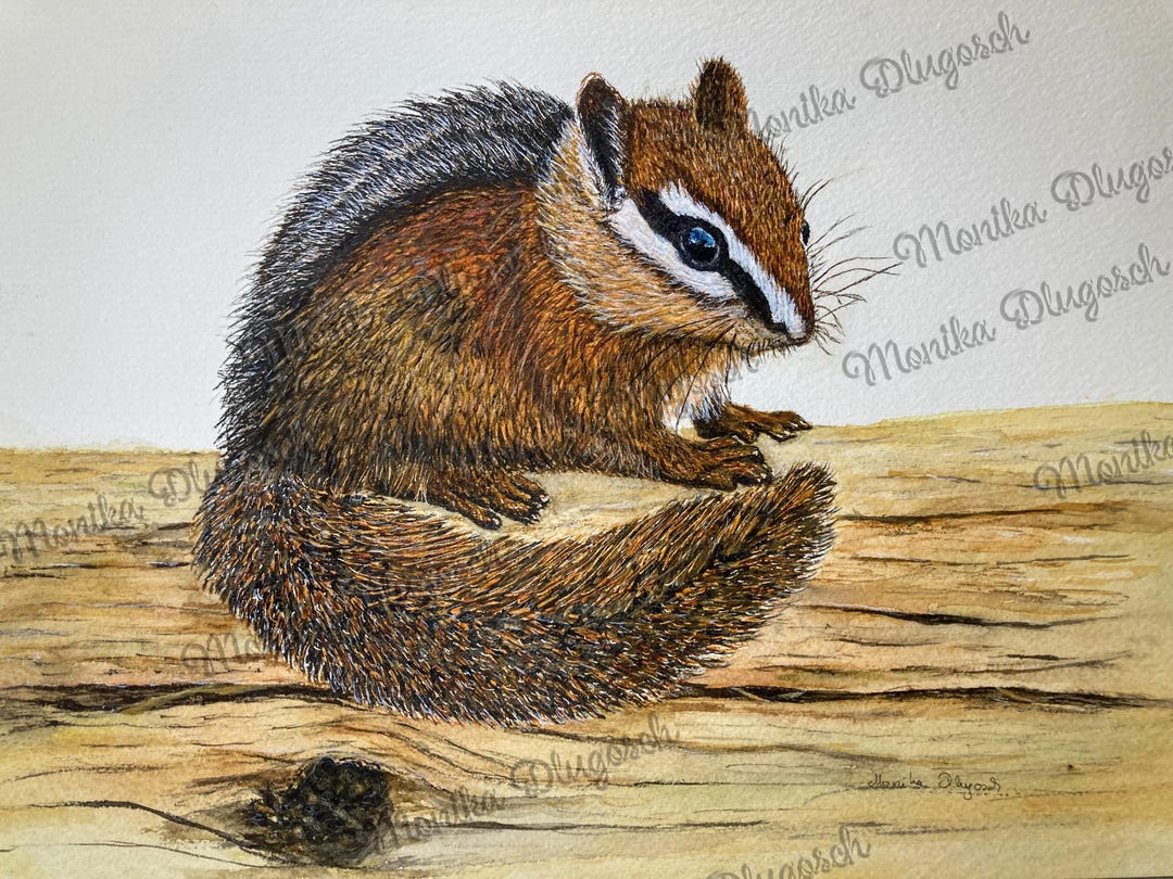 Gicleé Art Print of a Chipmunk, Handpainted Realistic Painting in ...