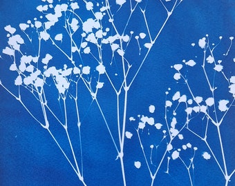 Daisy Cyanotype Print-cyanotype Print-sun Print, Hand Drawn Print, 5x7 ...