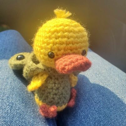 Imposter Duck Crochet Pattern - Etsy