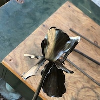 Daffodils, Hand Forged Iron Flowers, Blacksmith, Burnt Whisker Forge ...