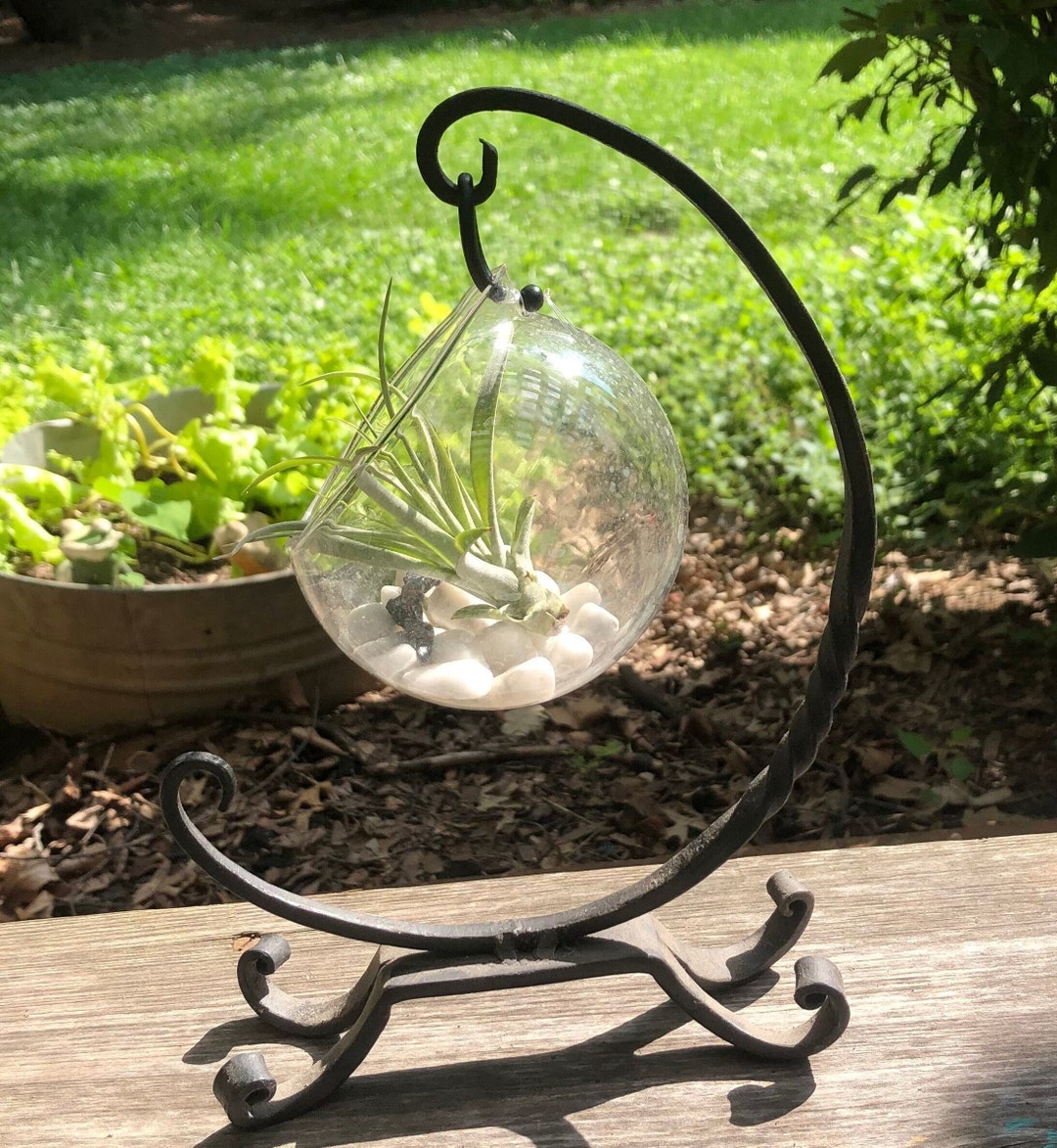 Hand Forged* Table Top Plant Hanger/ Banana Stand - Etsy