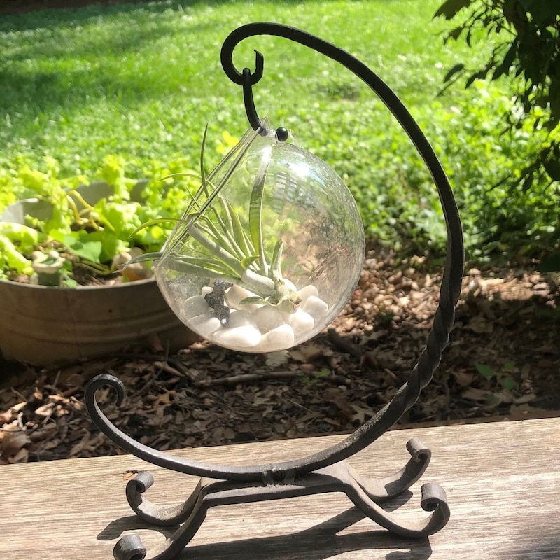 Terrarium Stand - Etsy