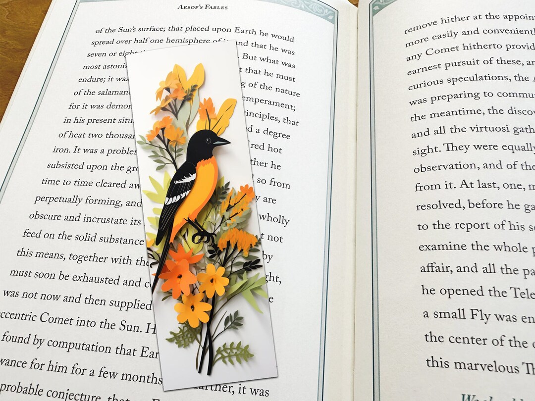 Baltimore Oriole Bookmark - High Quality Print Illustration, Literary ...