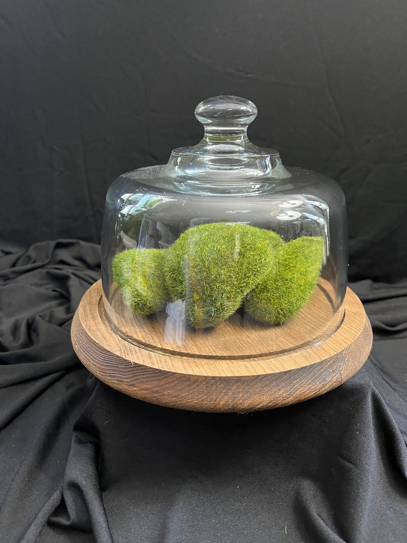 Vintage Cheese Dome With Teak Wood Base and Clear Glass Top - Vintage ...