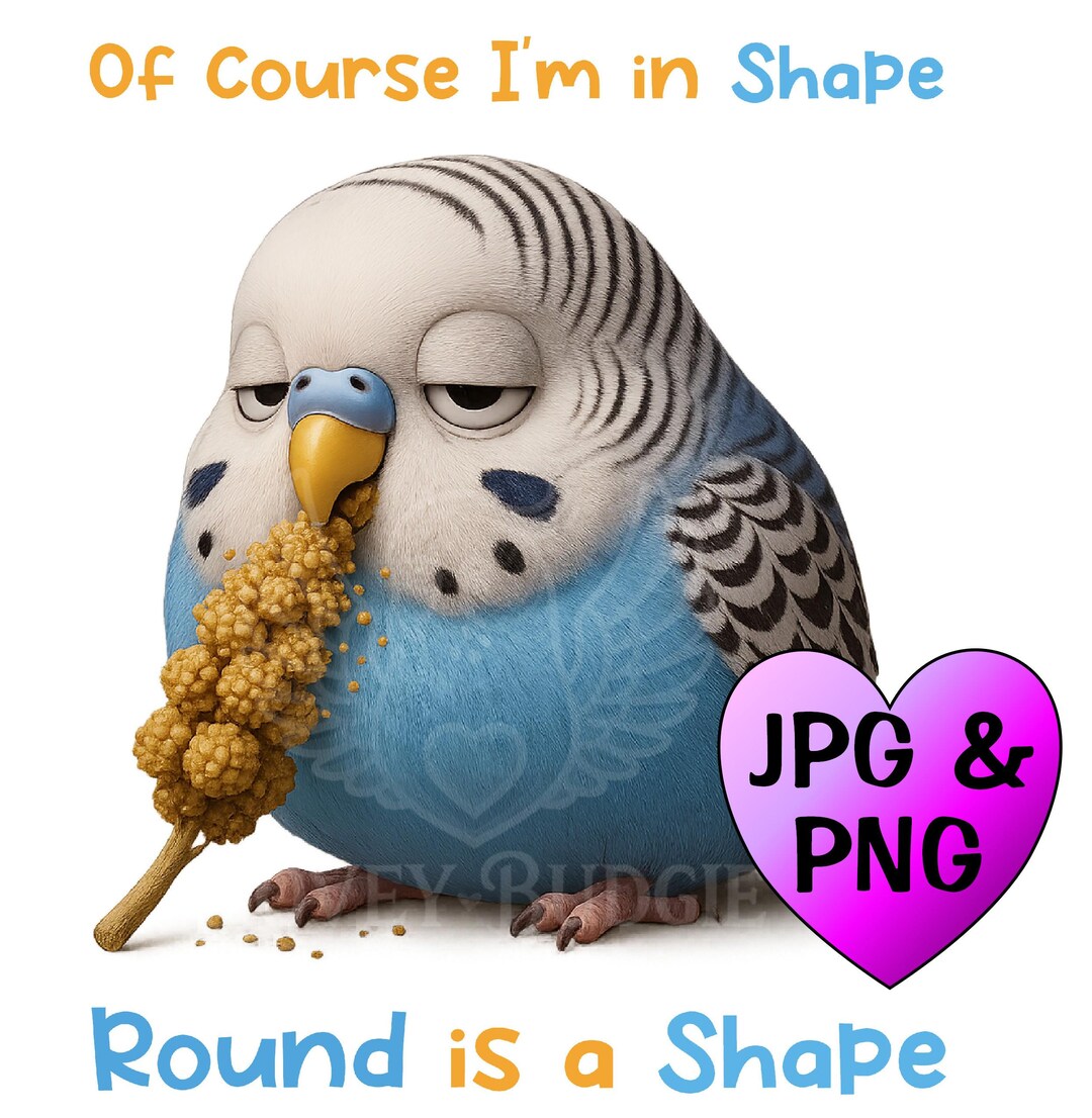 Round is a Shape Pudgy Budgie Digital Art 2 Formats PNG & JPG I'm in ...