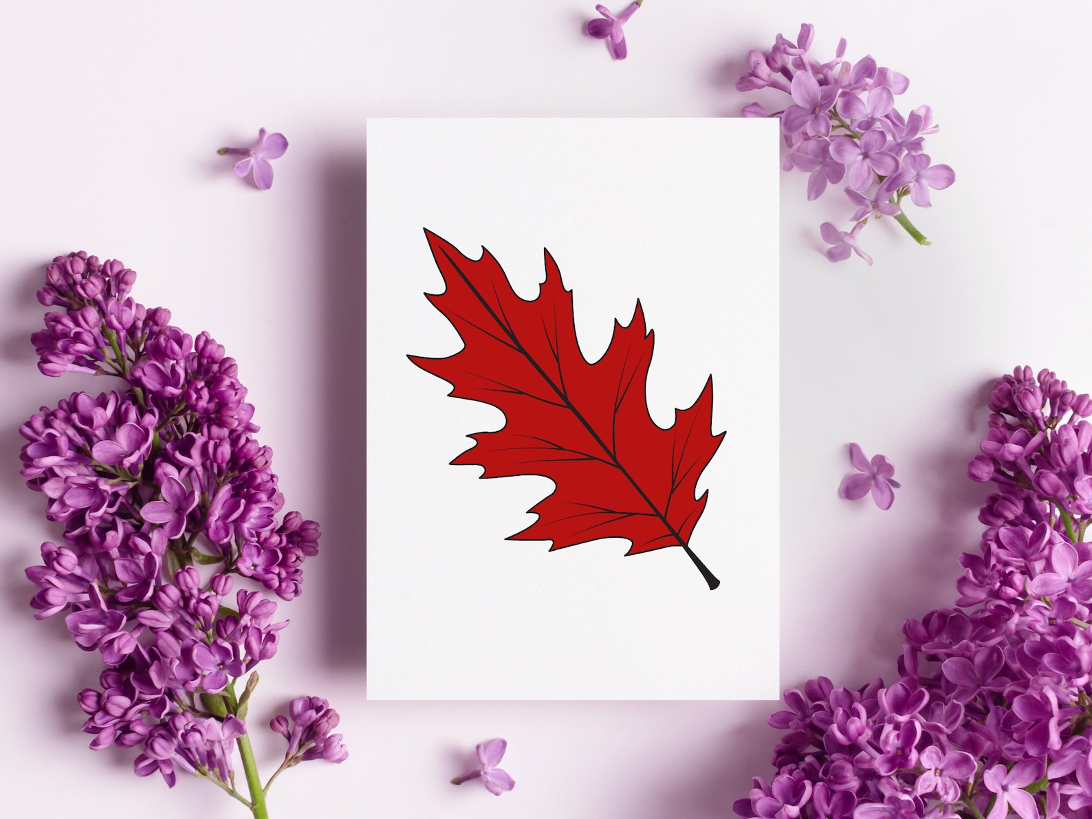 Fall Leaves Svg Fall Svg Fall Leaf Svg Bundle Fall Png - Etsy