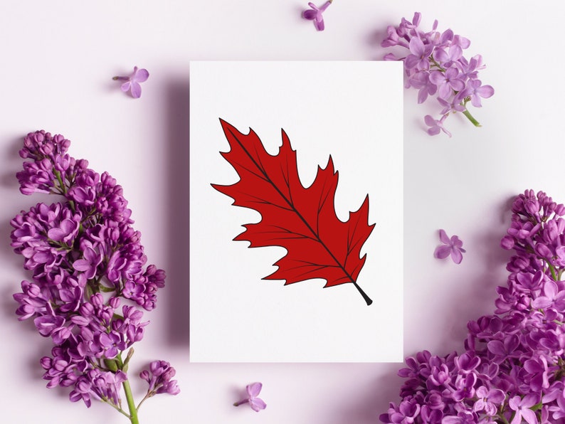 Fall Leaves Svg Fall Svg Fall Leaf Svg Bundle Fall Png - Etsy