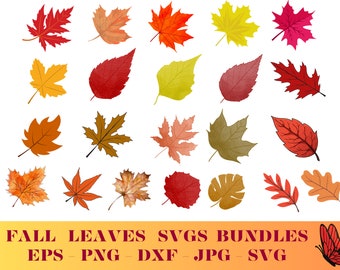 Fall Leaves Svg, Fall Svg, Fall Leaf Svg Bundle, Fall Png, Dxf, Clipart ...