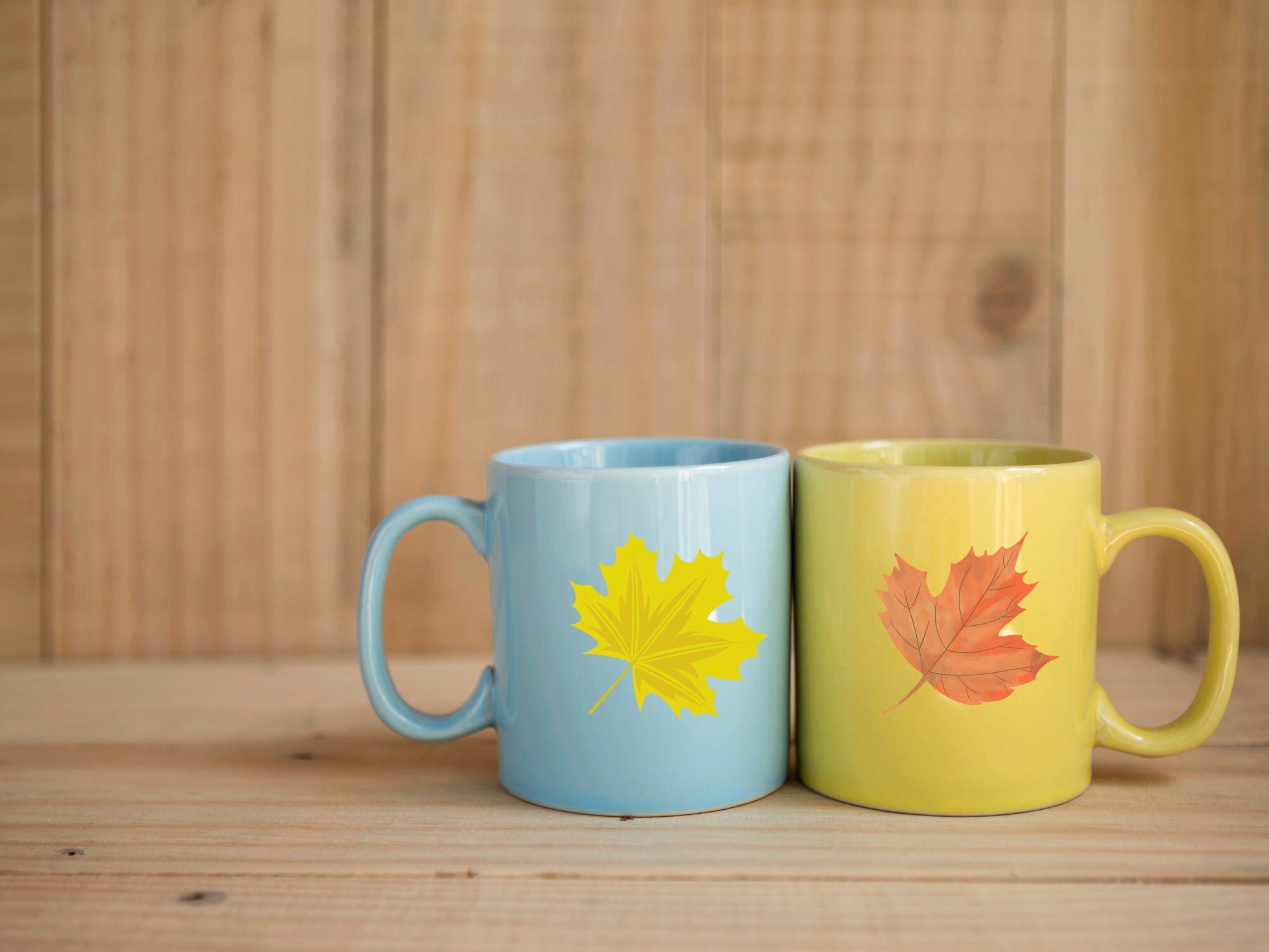 Fall Leaves Svg Fall Svg Fall Leaf Svg Bundle Fall Png - Etsy