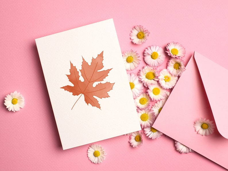 Fall Leaves Svg Fall Svg Fall Leaf Svg Bundle Fall Png - Etsy