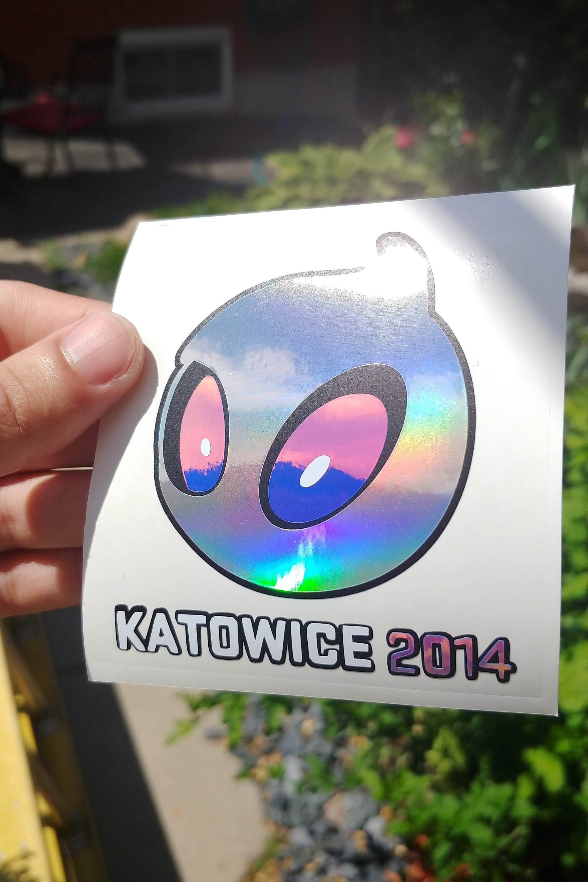 Katowice 2014 Team Dignitas Layered Holographic Vinyl - Etsy
