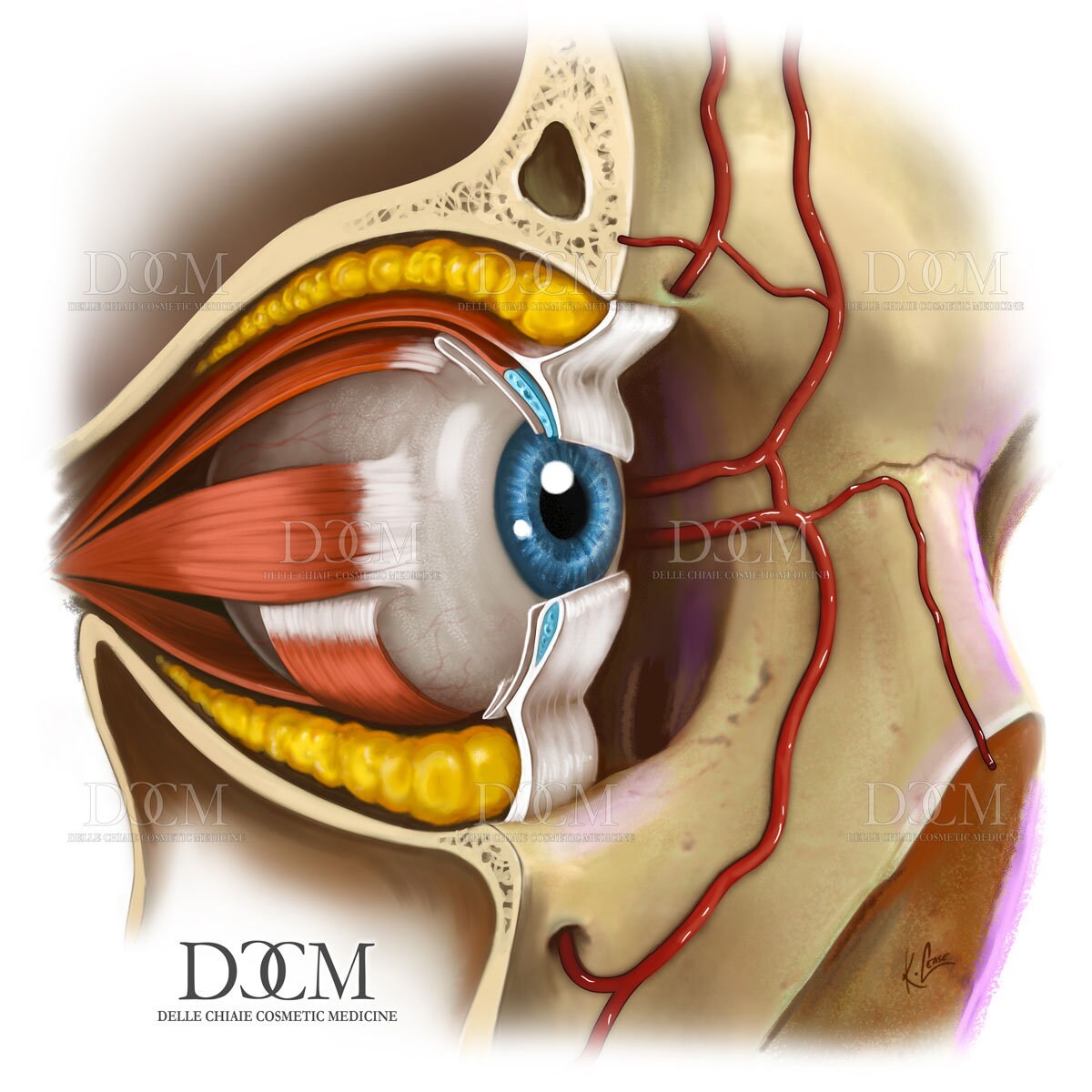 Essentials of Neuromodulation - Etsy