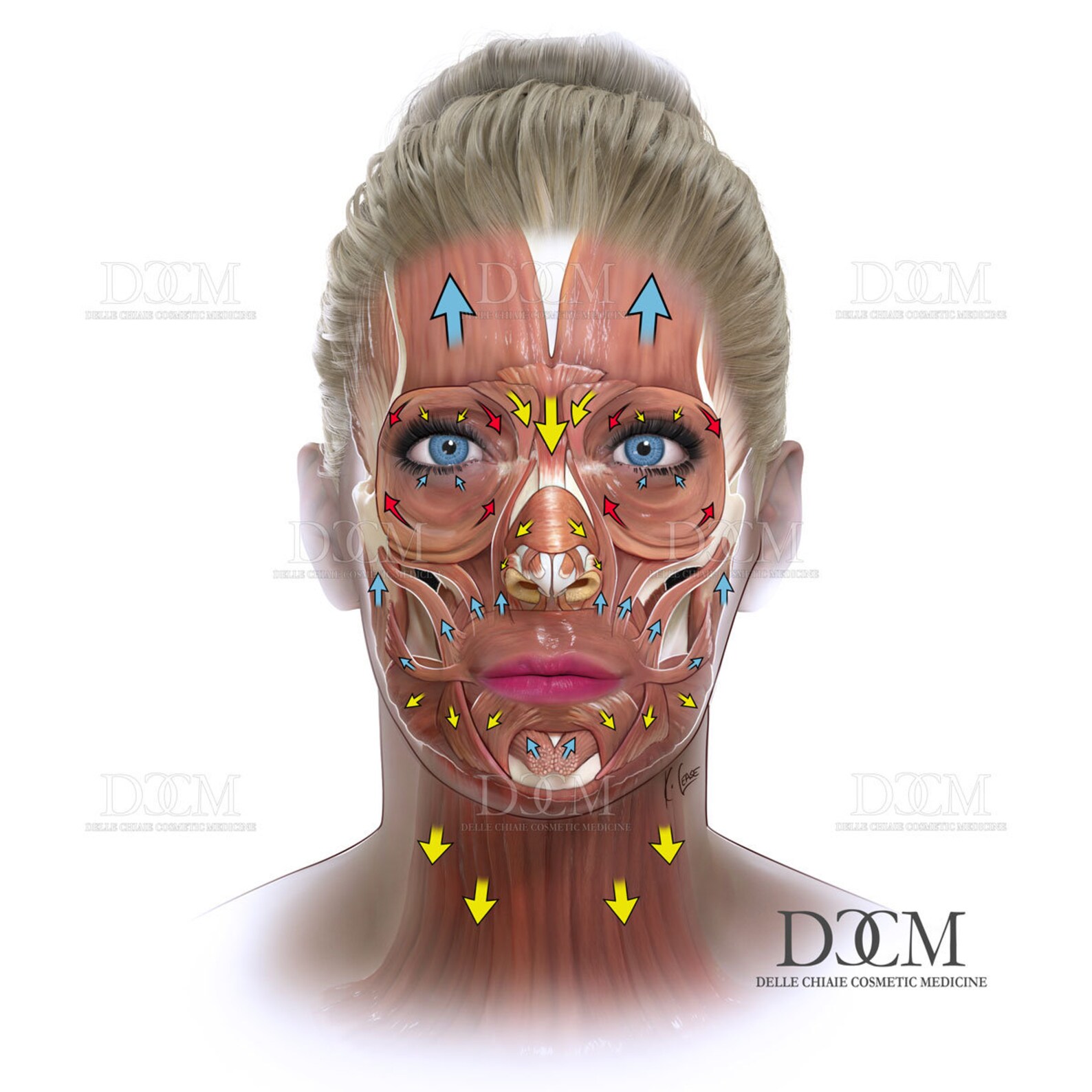 Essentials of Neuromodulation - Etsy