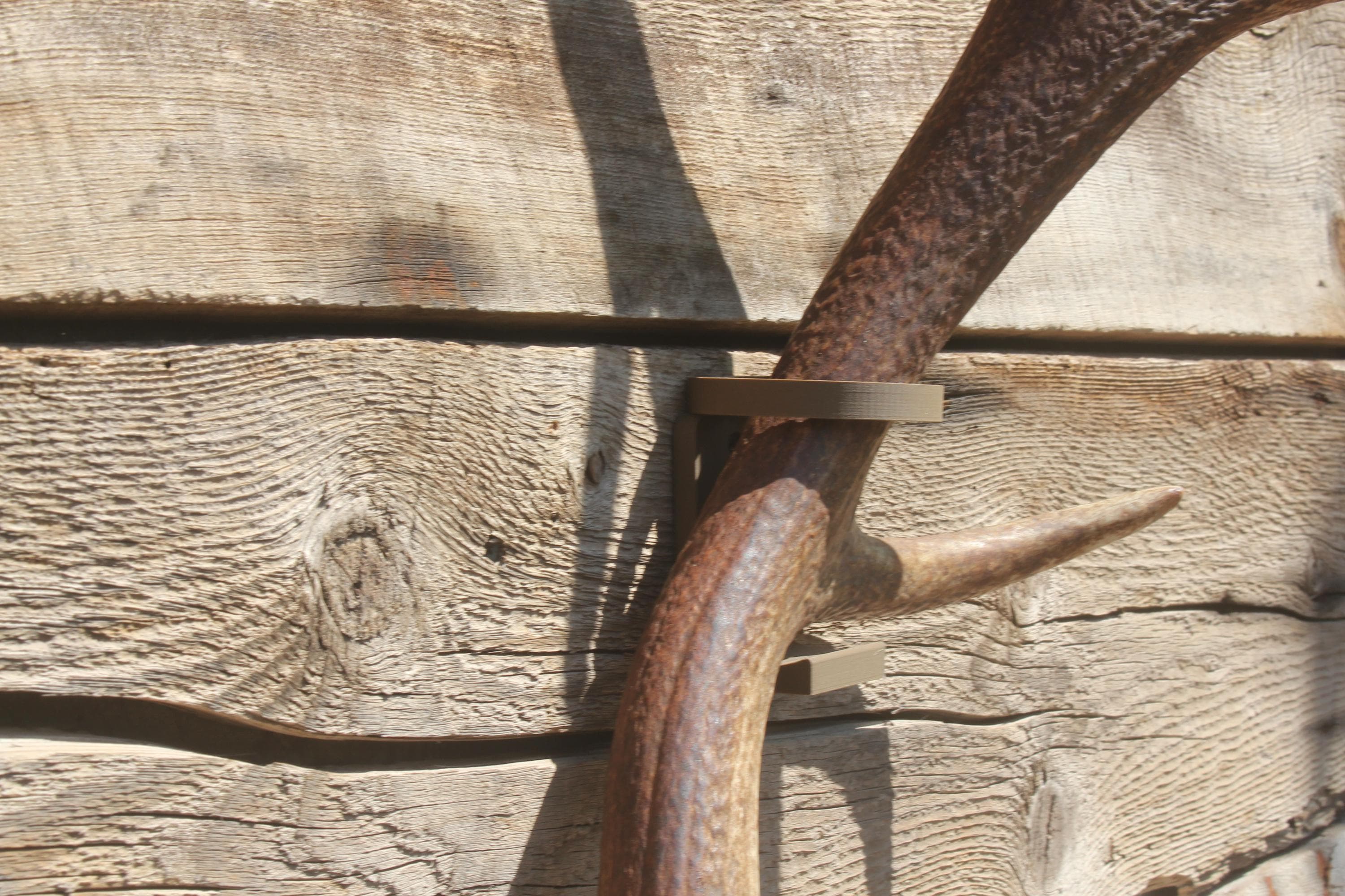 Elk Shed Antler Mount - Etsy