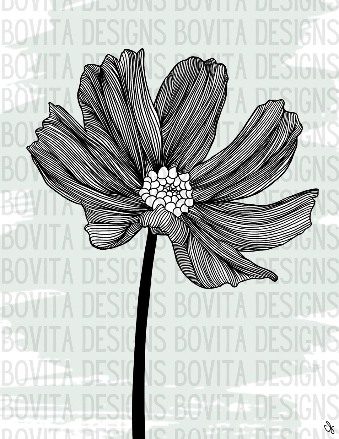 October Birth Flower: Cosmos Wall Art - Etsy