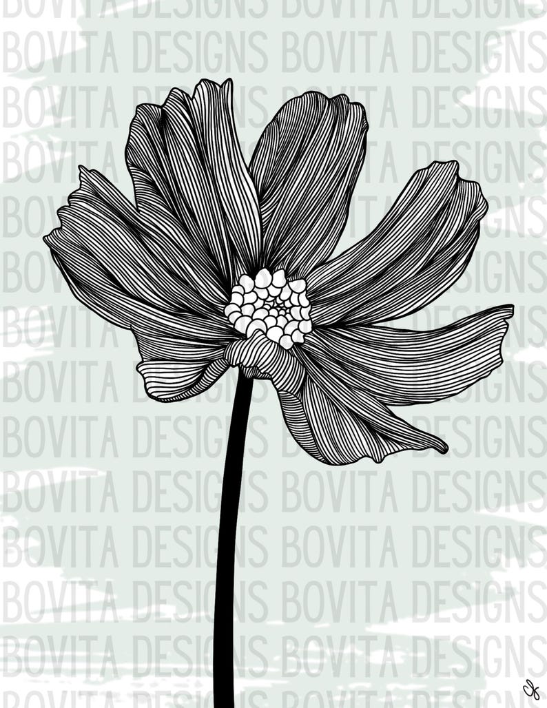 October Birth Flower: Cosmos Wall Art - Etsy