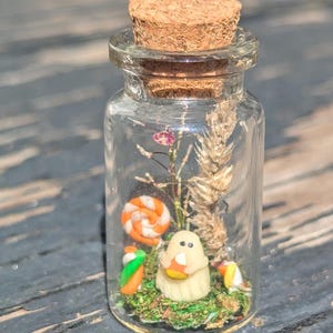 Ghost in a Bottle, Mini Ghost, Pet Ghost, Halloween Terrarium - Etsy