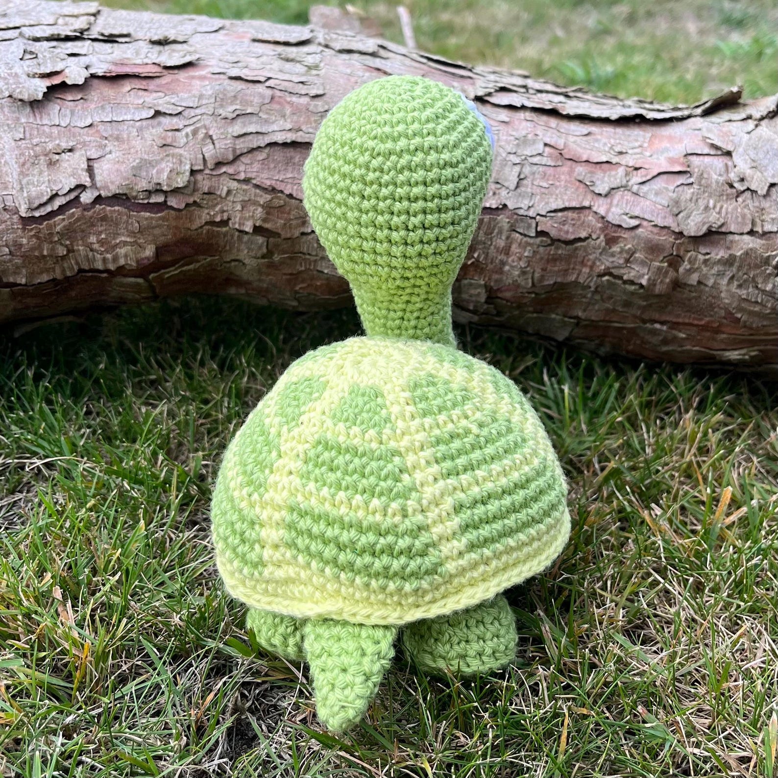 Tortoise Crochet Pattern - Etsy