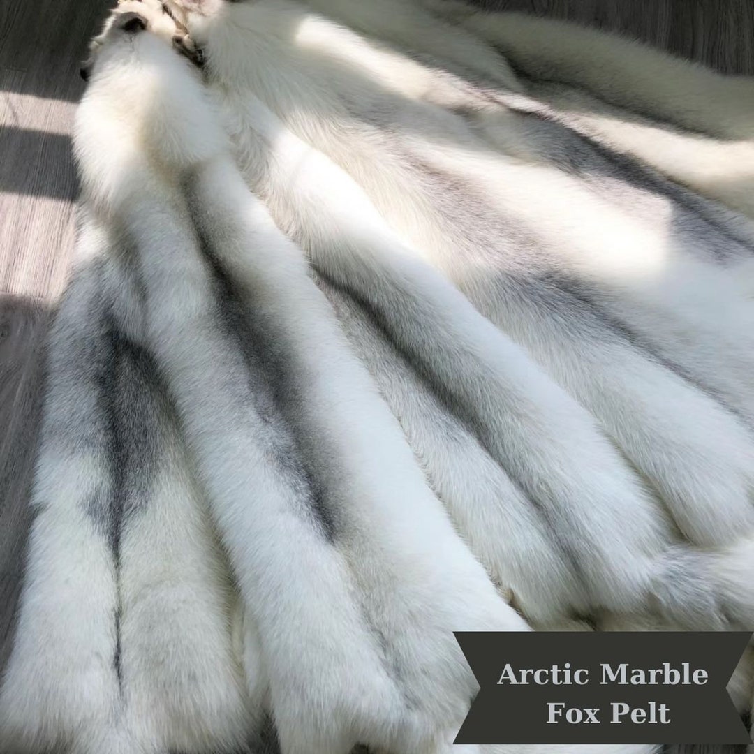 Genuine Arctic Marble Fox Pelt Craft Fox Fur Pelt DIY Crafts - Etsy