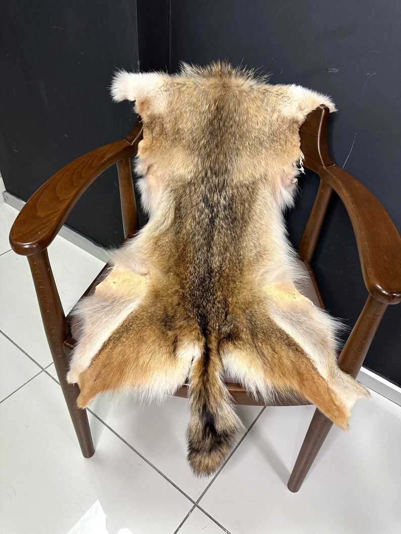 Genuine Coyote Fur Pelt Craft Coyote Fur Pelt DIY Crafts - Etsy UK