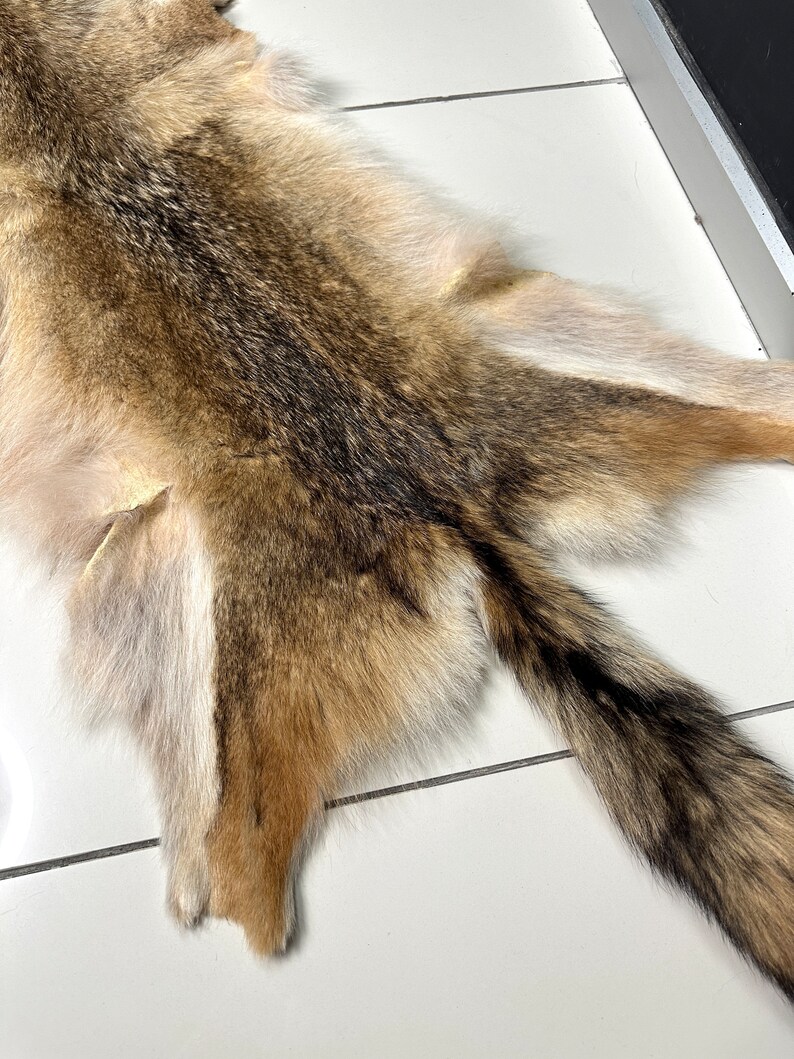 Genuine Coyote Fur Pelt Craft Coyote Fur Pelt DIY Crafts - Etsy UK