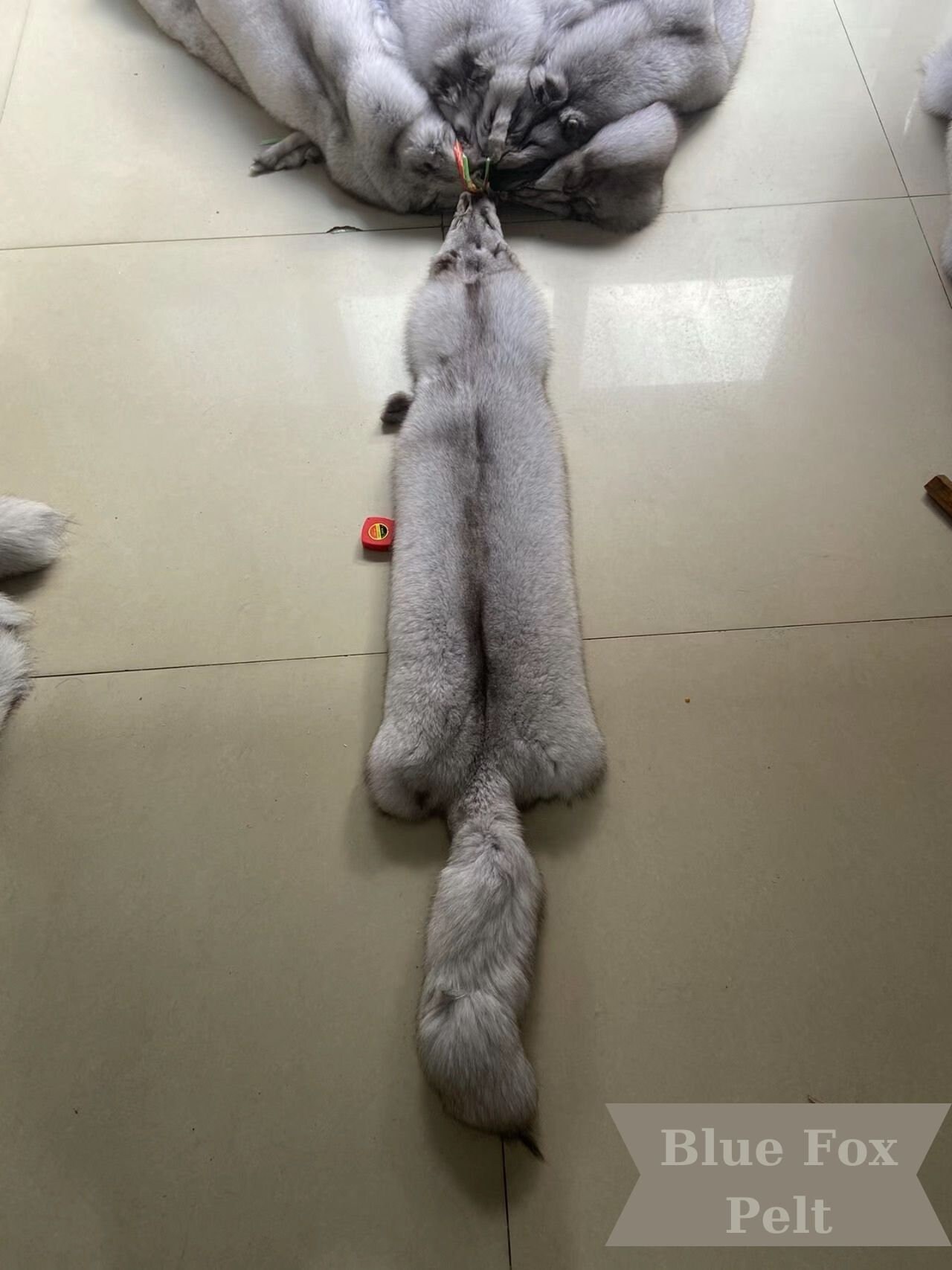 Genuine Arctic Marble Fox Pelt Craft Fox Fur Pelt DIY Crafts - Etsy