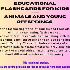 Printable Animals & Their Babies Flashcard Set - Etsy