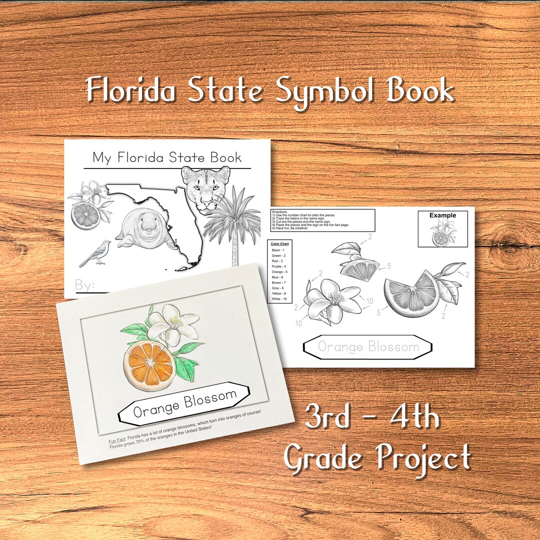 Printable Florida State Book - Etsy Australia