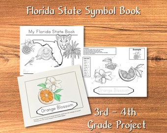 FLORIDA Printable Coloring Page With State Facts - United States of ...