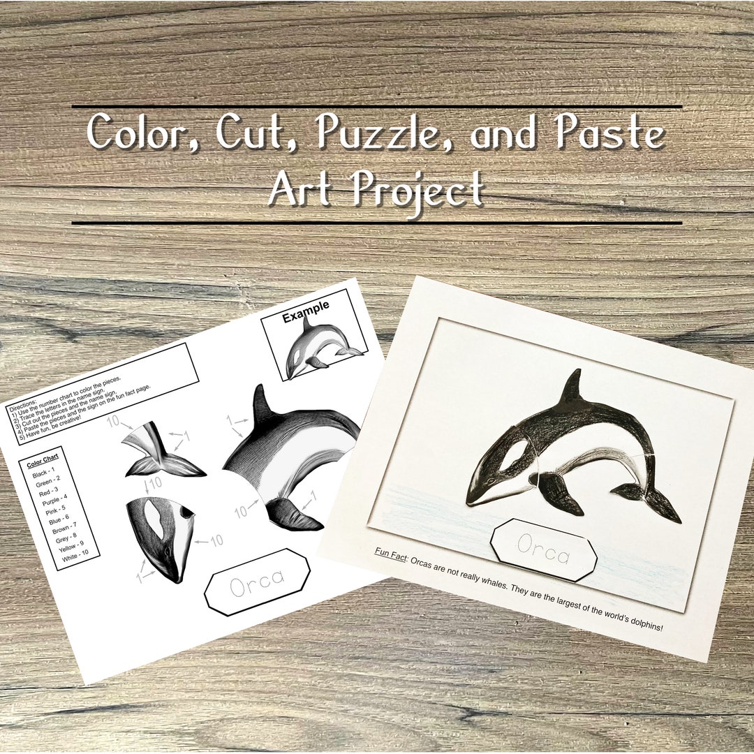 Printable Orca Art Project - Etsy Canada