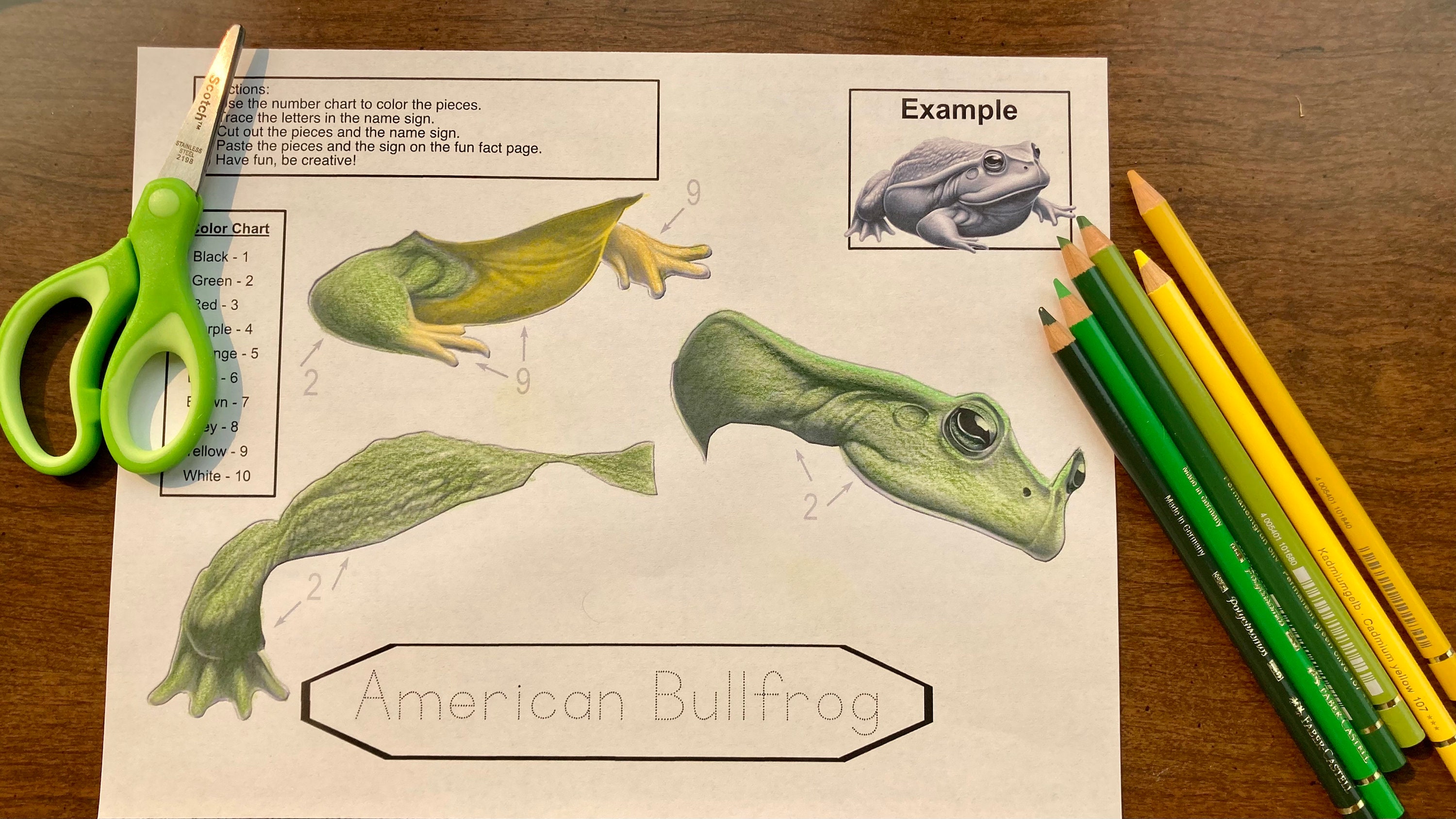 Printable Ohio State Book - Etsy