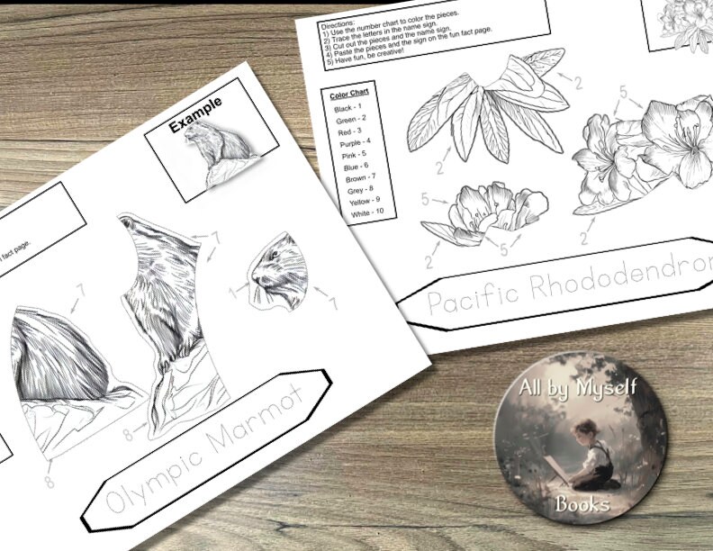 Printable Washington State Book - Etsy