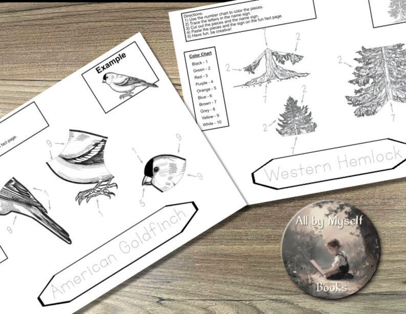 Printable Washington State Book - Etsy