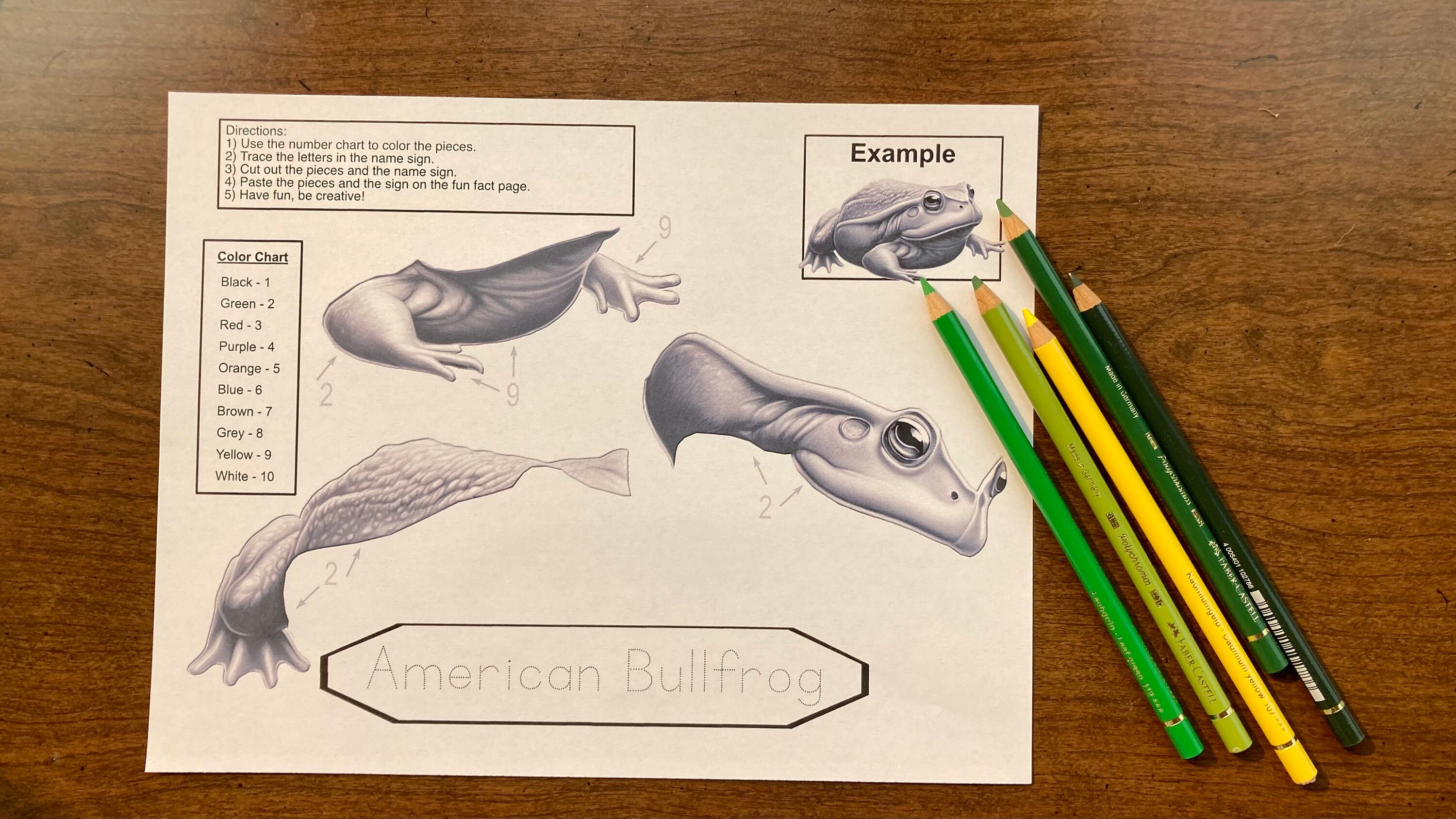 Printable Ohio State Book - Etsy